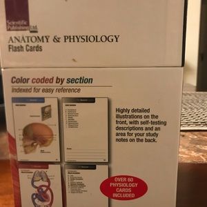 scientific publishing | Other | Anatomy Physiology Flash Cards | Poshmark